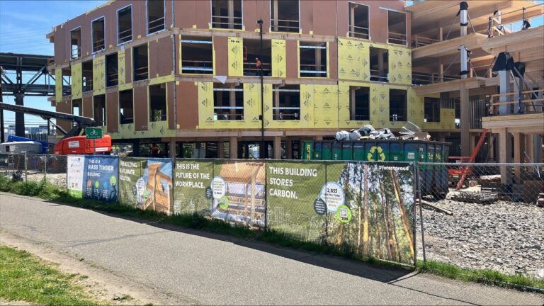 Mass Timber: The Future of the Workplace | #forestproud