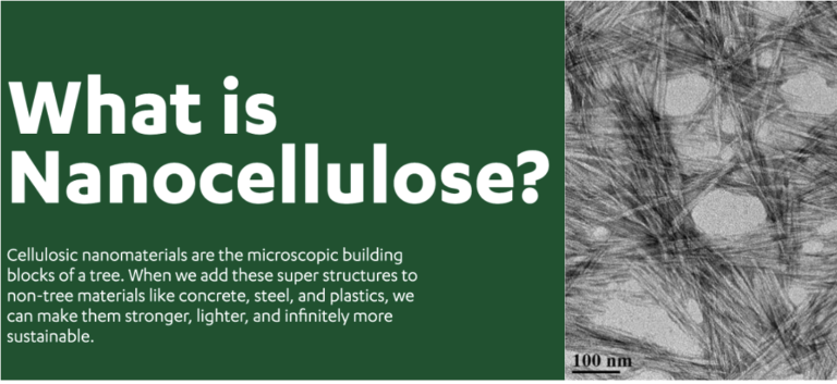 wood innovations that help shift from planet to plastics | #forestproud