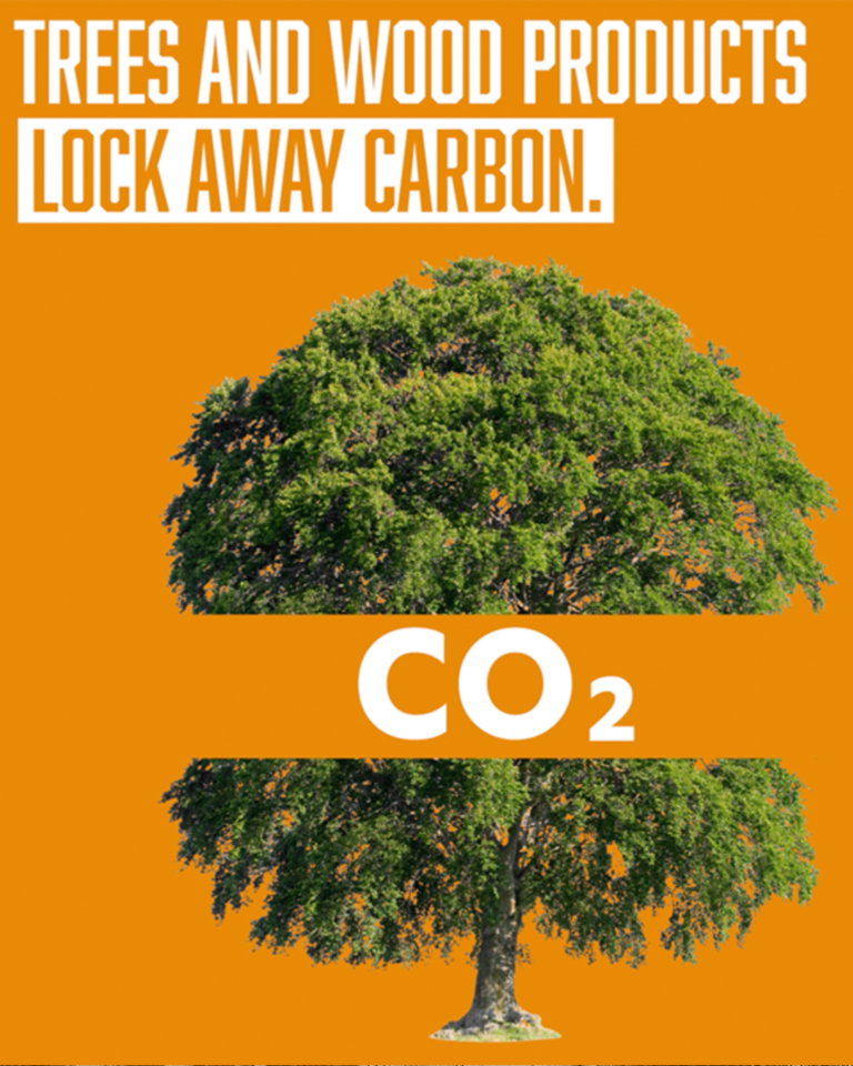 Wood Innovations Grant Q1 | #forestproud